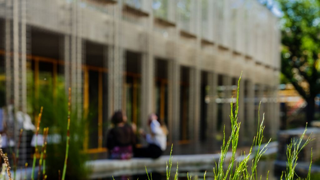 ‘Everything is not a unicorn’ – Meet Susan Oliver AM, VC Catalyst ...