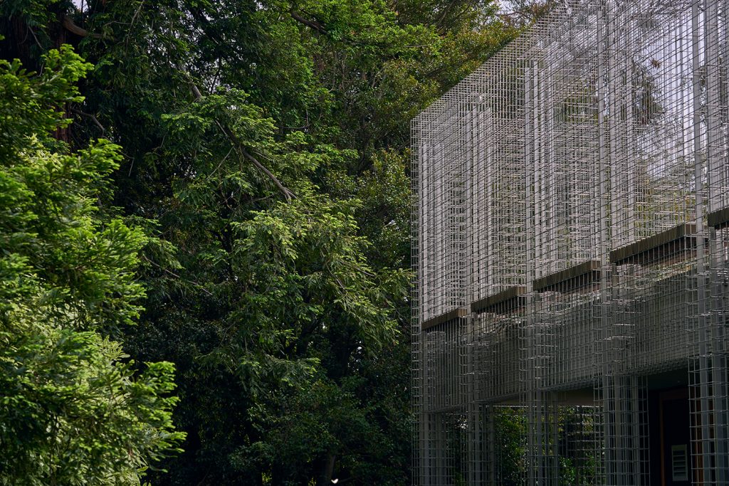 An unconventional career path into the world of startup investing ...