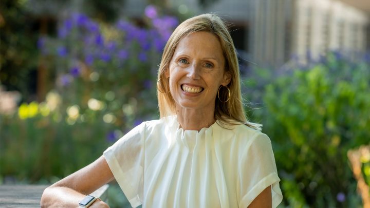 About - Wade Institute